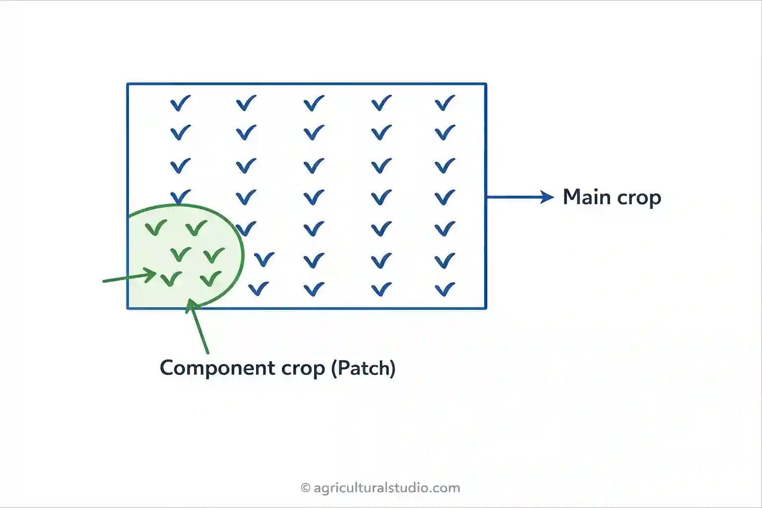 Cropping Pattern And Cropping System: Definition, Types (PDF Notes)
